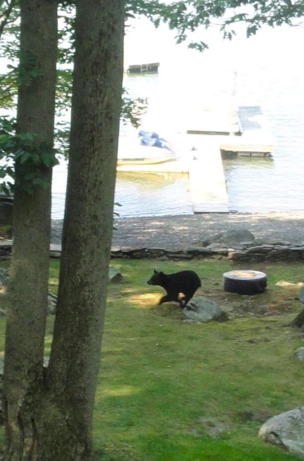 Mary Beth Roe Biography, Net Worth, Family, Education, Accident, & QVC ...