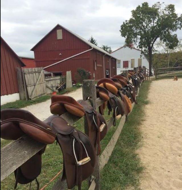 Mary Beth Roe Biography, Net Worth, Family, Education, Accident, & QVC ...